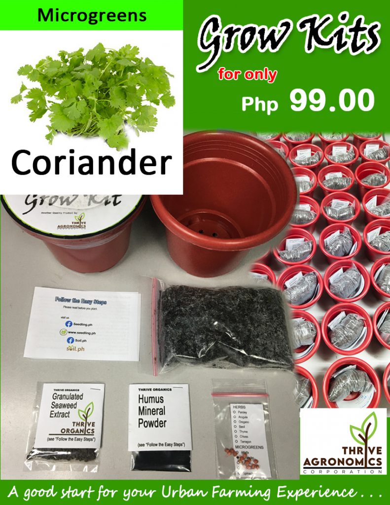 Grow Kit Giveaway Idea for Holidays - Seedling Ph