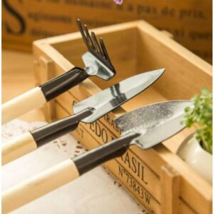 Your Urban Gardening Shop - Seedling Ph